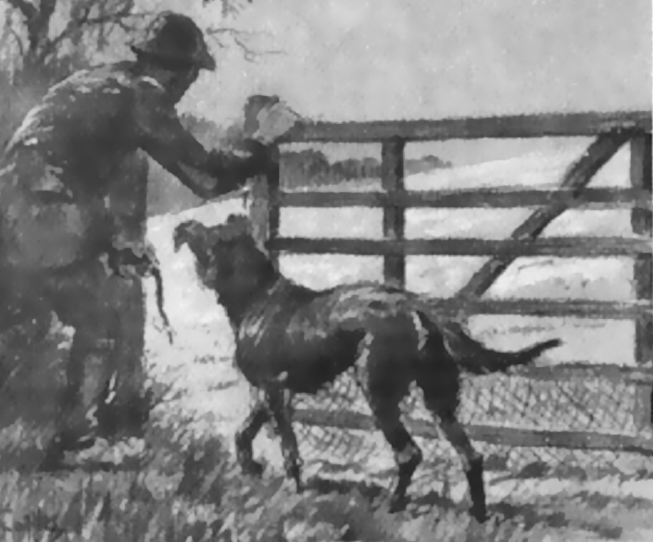 DVD or online documentary, the history of poaching by Charlotte Paton ...